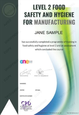 Level 2 Food Hygiene Certificate For Manufacturing | £12 +VAT